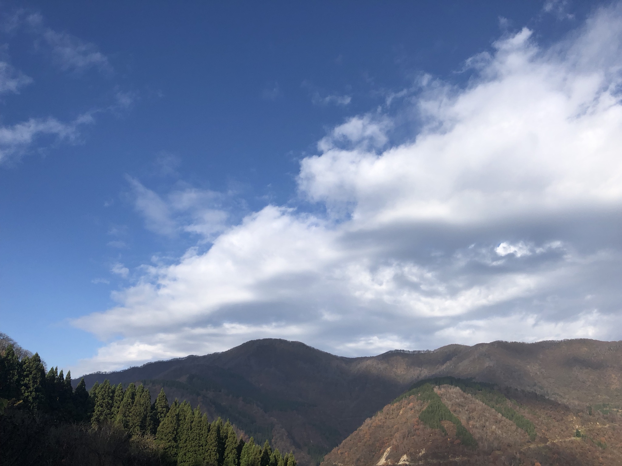 IMG_2415 – 御祖の御使い